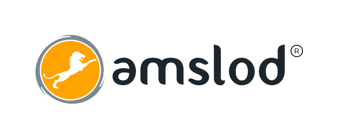 Amslod Elektrische Fiets – ReplaceDirect